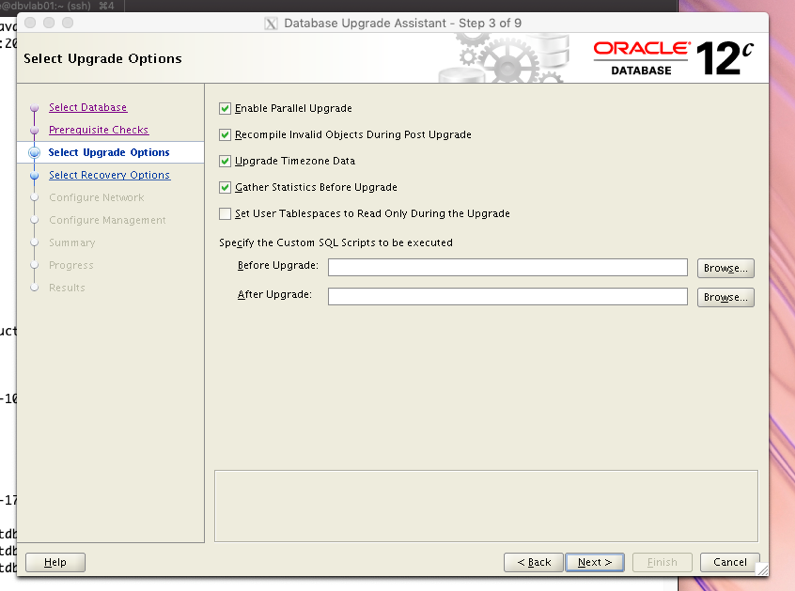 How do I reconfigure my standby after a database upgrade?