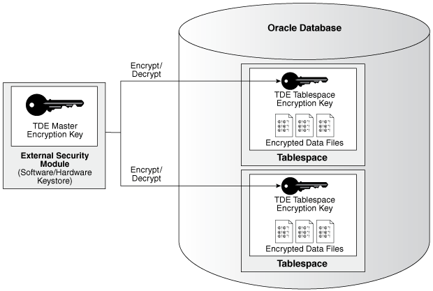 What is Oracle Transparent Data Encryption (TDE)?